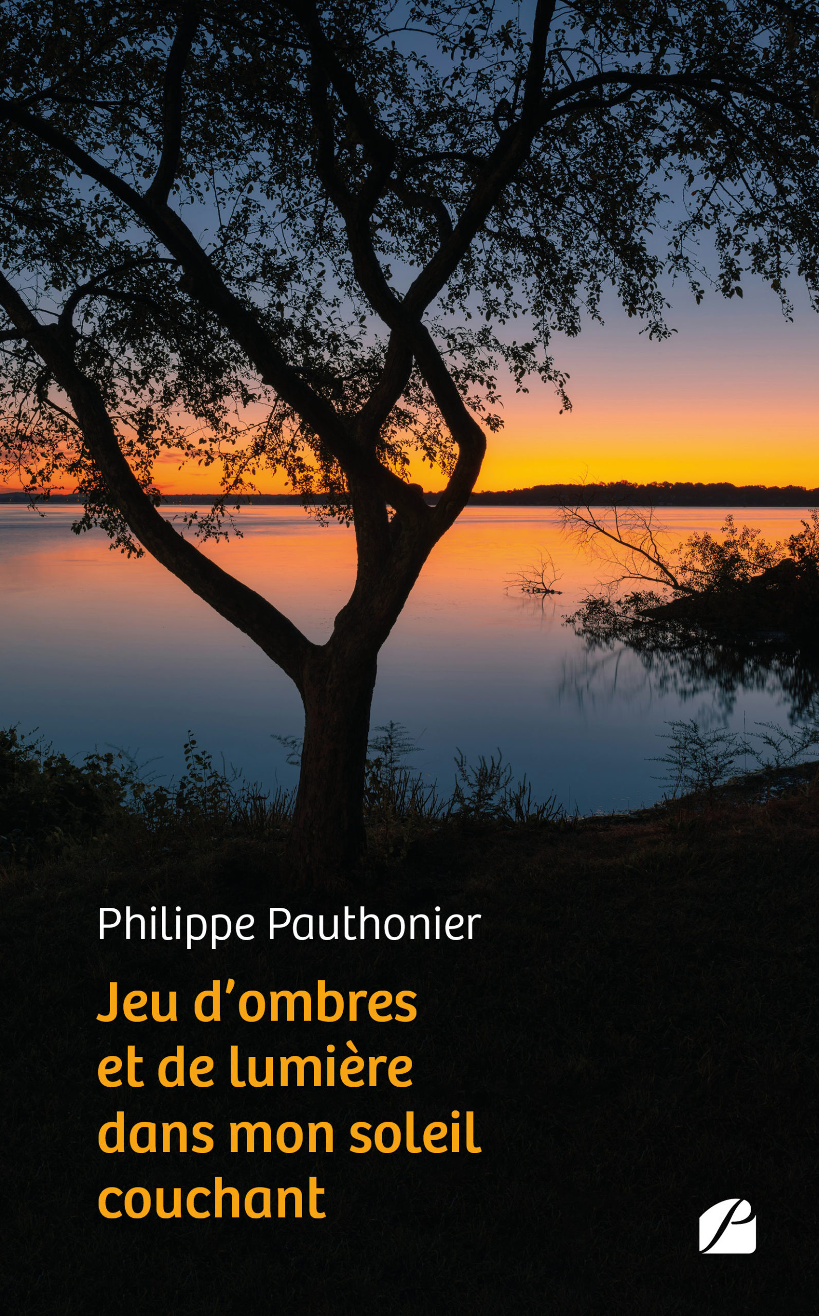 Jeu d’ombres et de lumière dans mon soleil couchant - Éditions du Panthéon